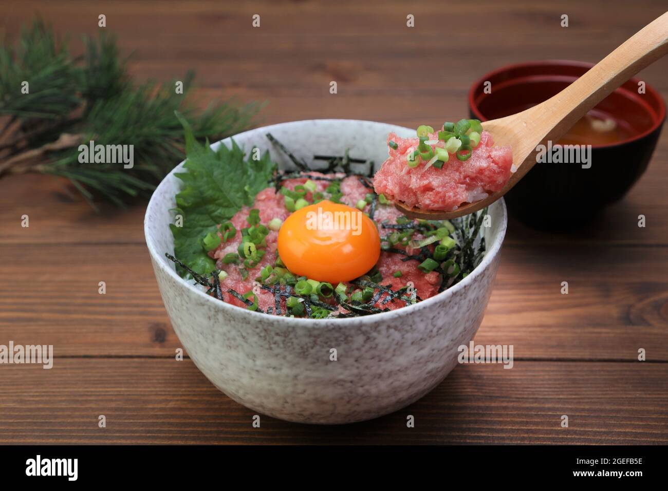 Negitoro don hi-res stock photography and images - Alamy