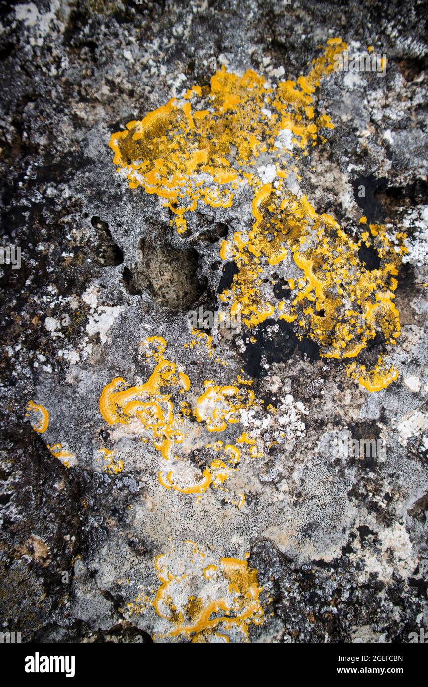 Damaging effects hi-res stock photography and images - Alamy