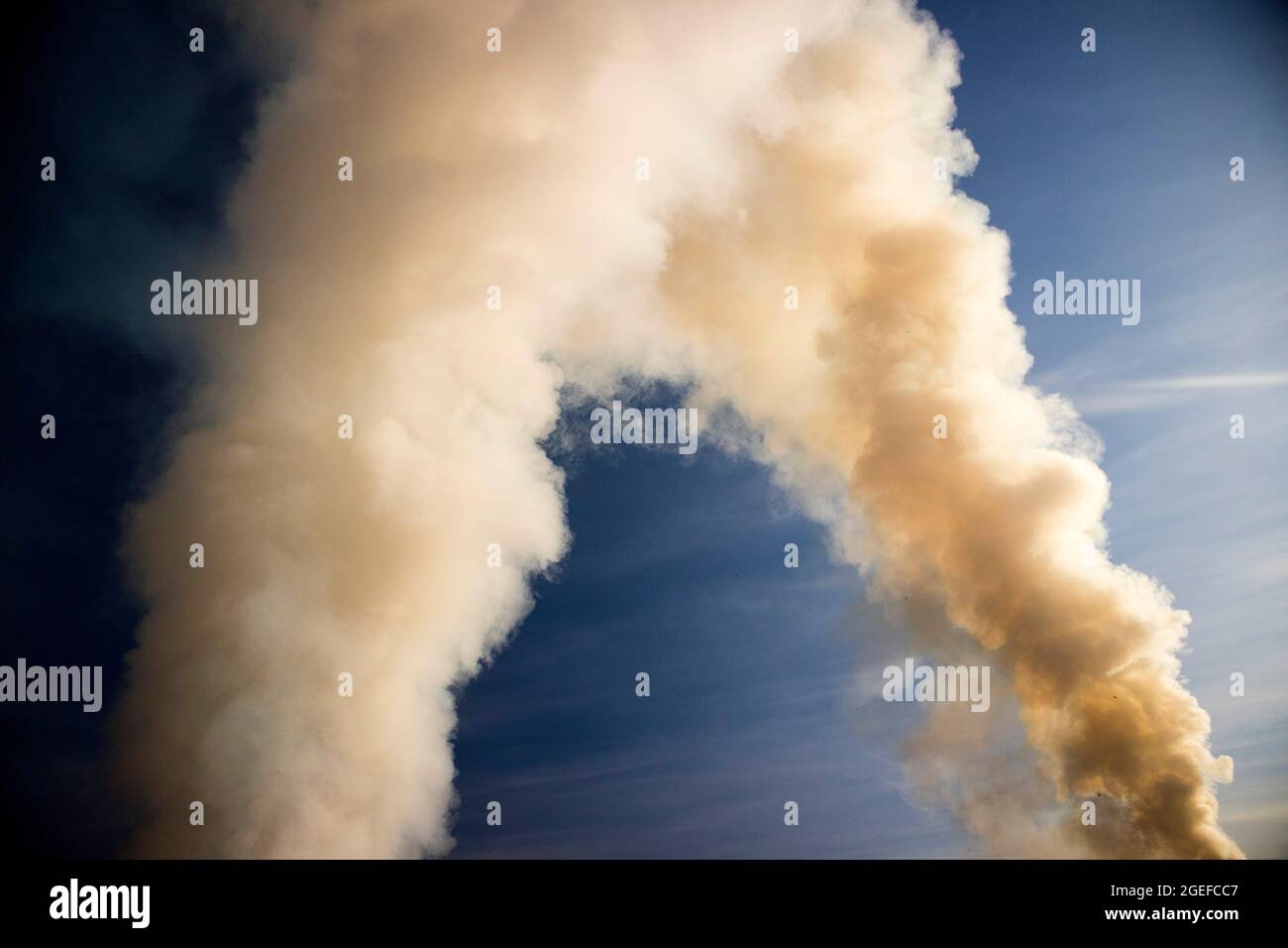 Column of intense smoke caused by a forest fire Stock Photo - Alamy