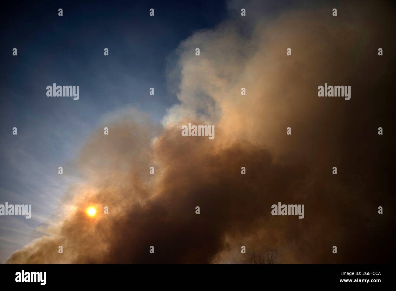 Column of intense smoke caused by a forest fire Stock Photo - Alamy