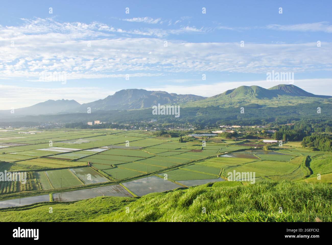 Rice Paddy in Caldera of Mt. Aso, Kumamoto Prefecture, Japan Stock ...