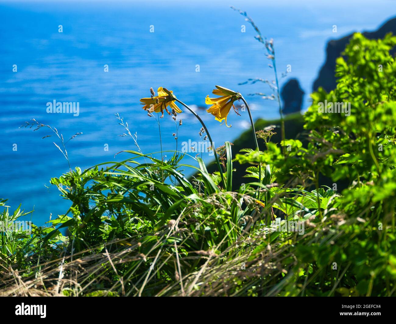 Cape Kamui, Hokkaido, Japan Stock Photo - Alamy