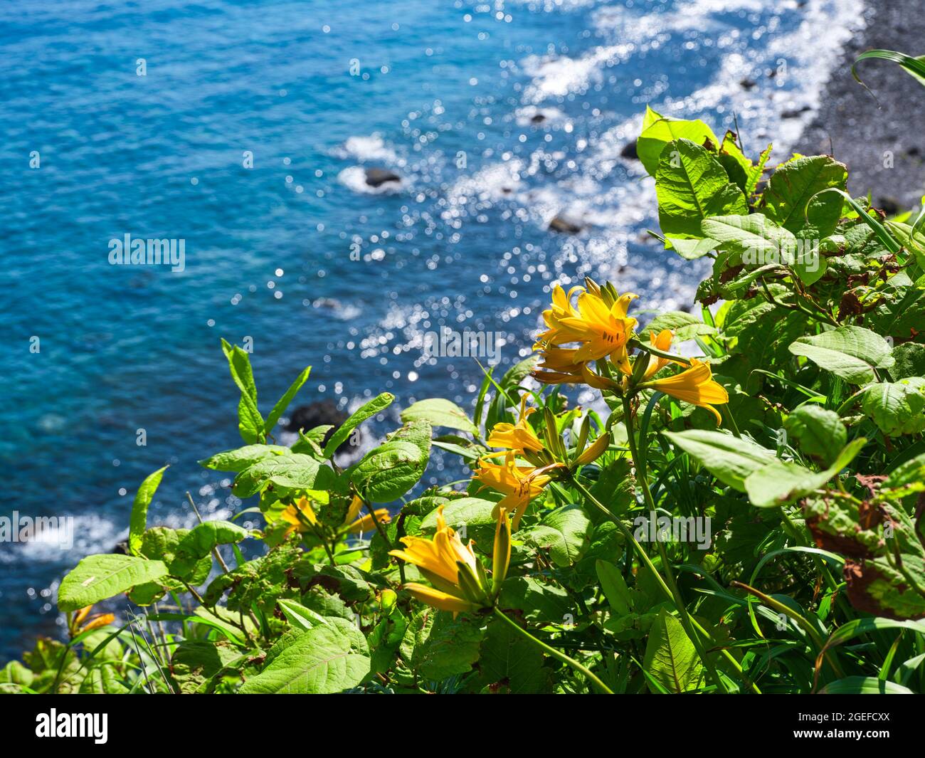 Cape Kamui, Hokkaido, Japan Stock Photo - Alamy