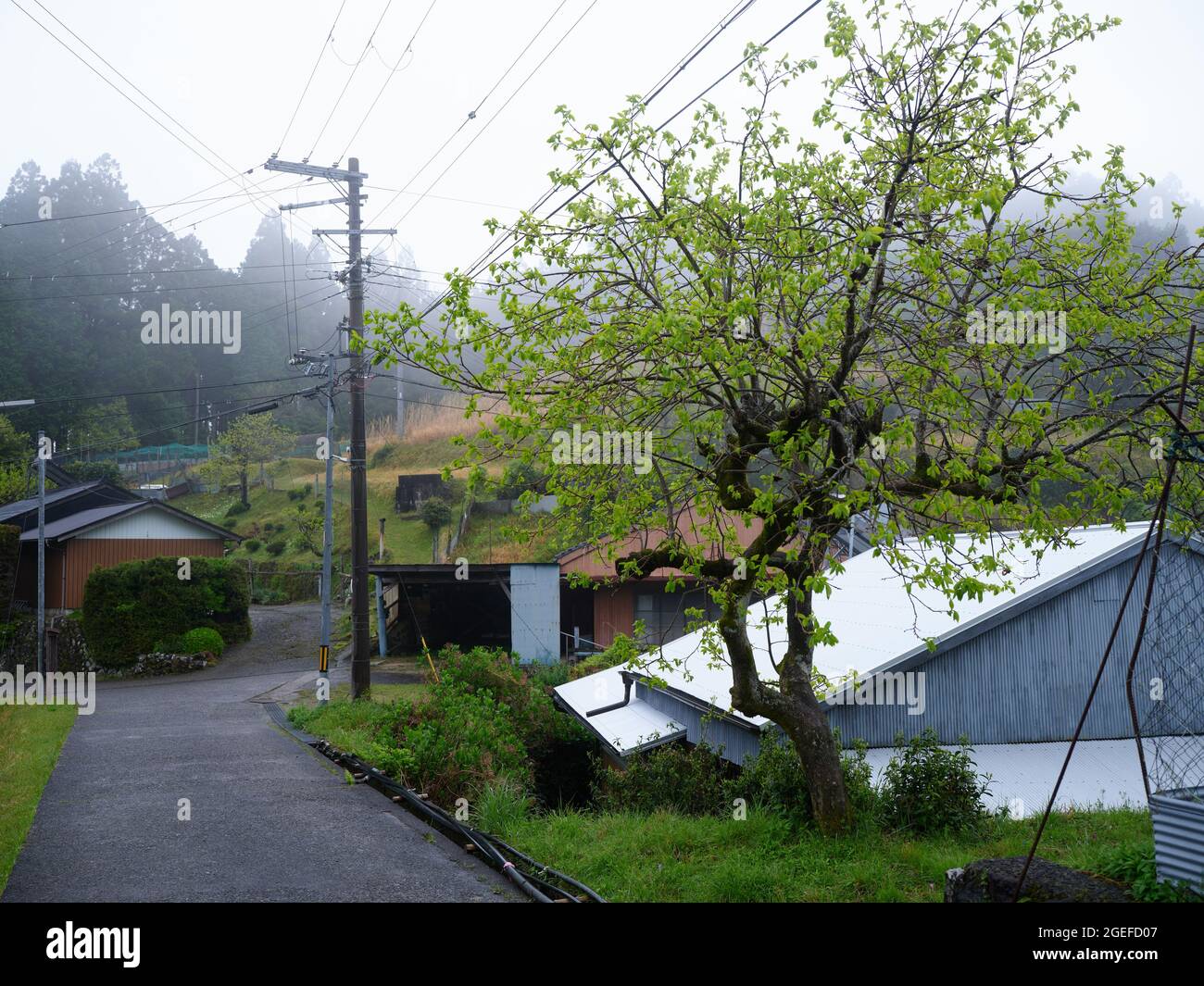 Satoyama hi-res stock photography and images - Alamy