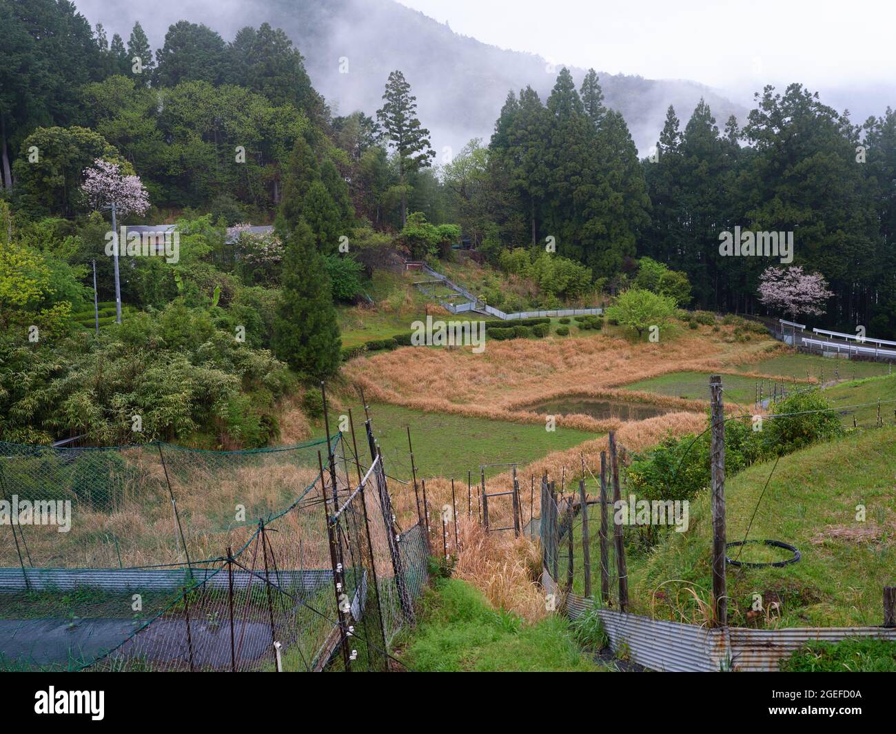 Satoyama hi-res stock photography and images - Alamy