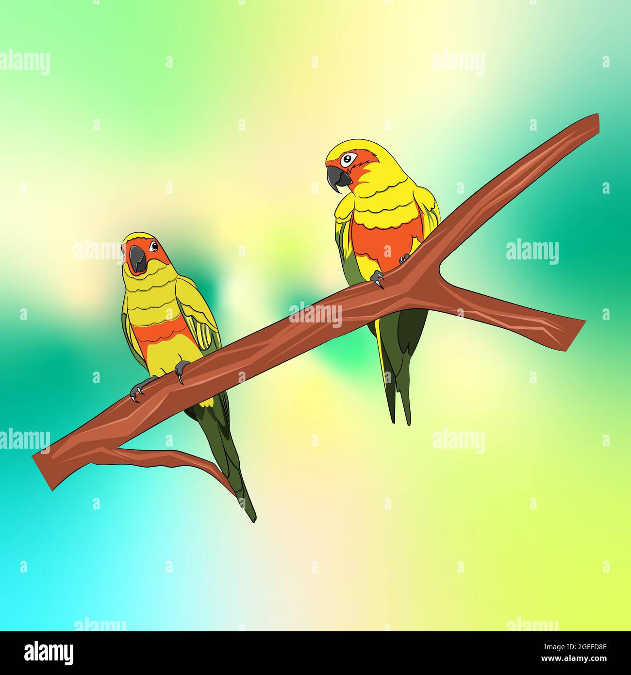 graphics drawing Sun Conure Parrots on a branch of the tree vector ...