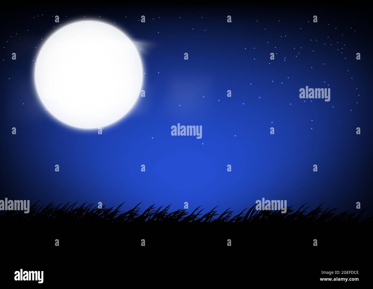 Moon on the sky and grass on the ground at night time graphics design ...