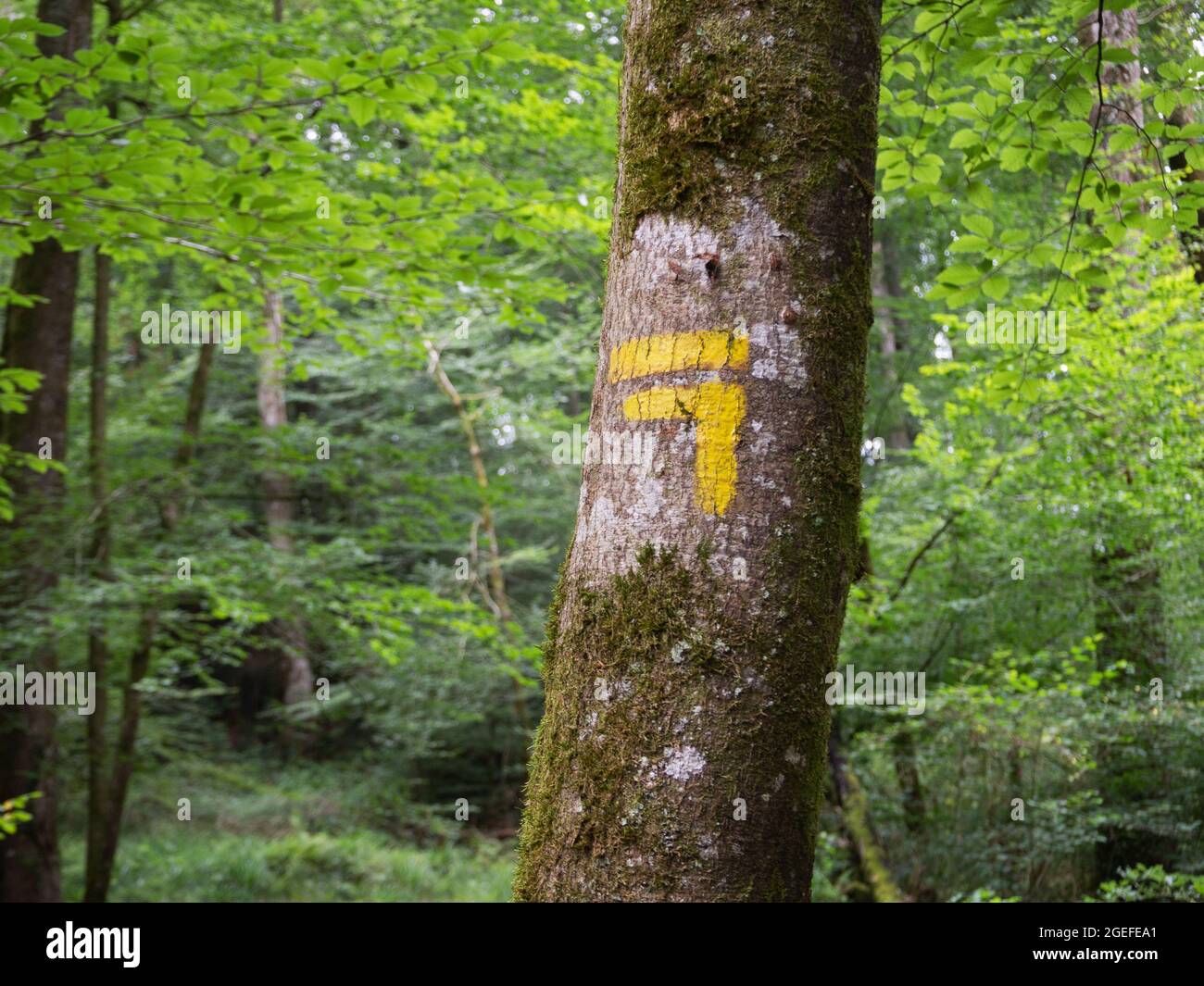 Guide walking tour sign hi-res stock photography and images - Alamy