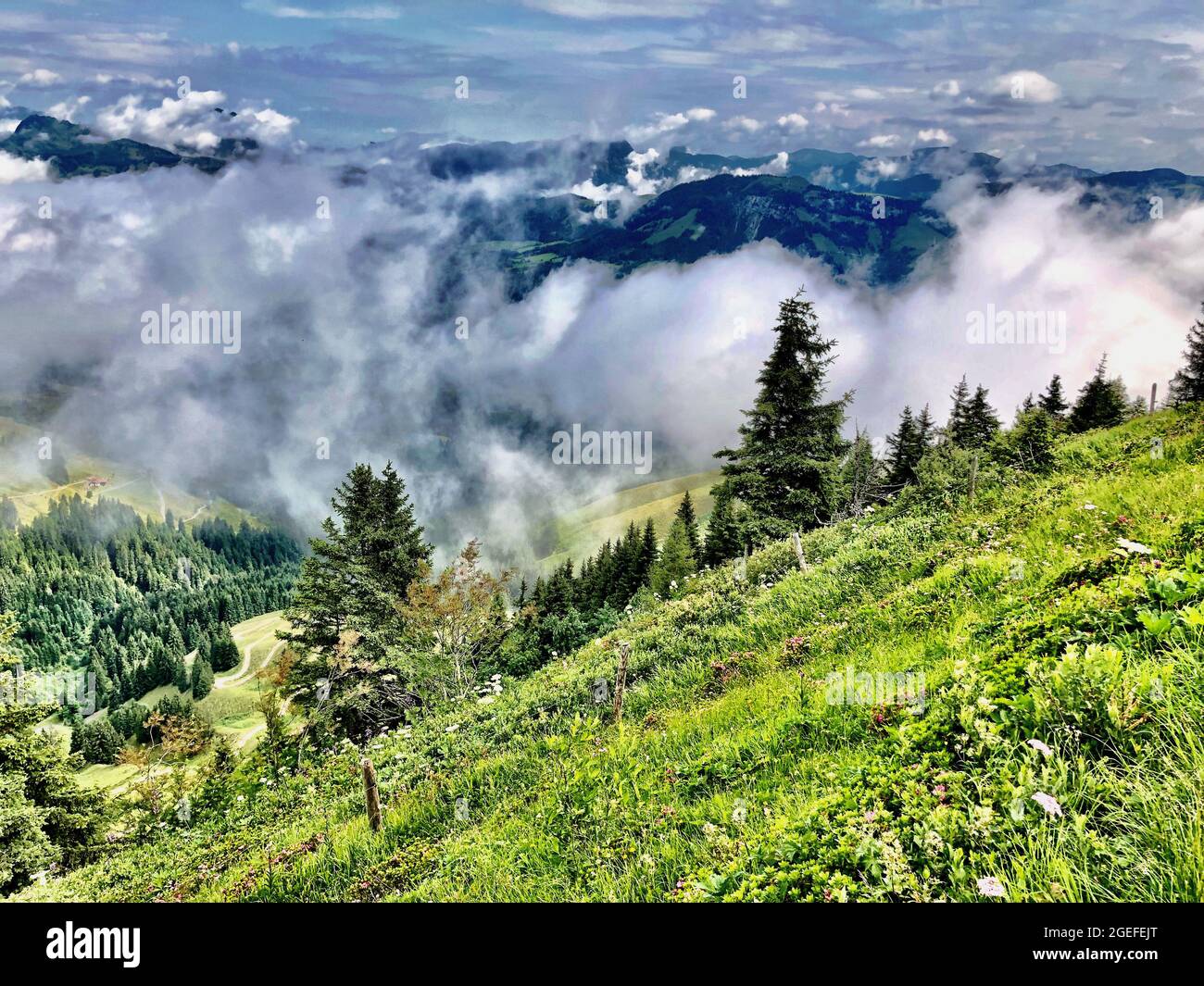 Beautiful landscape of a hilltop with green grass, trees, and mountains ...