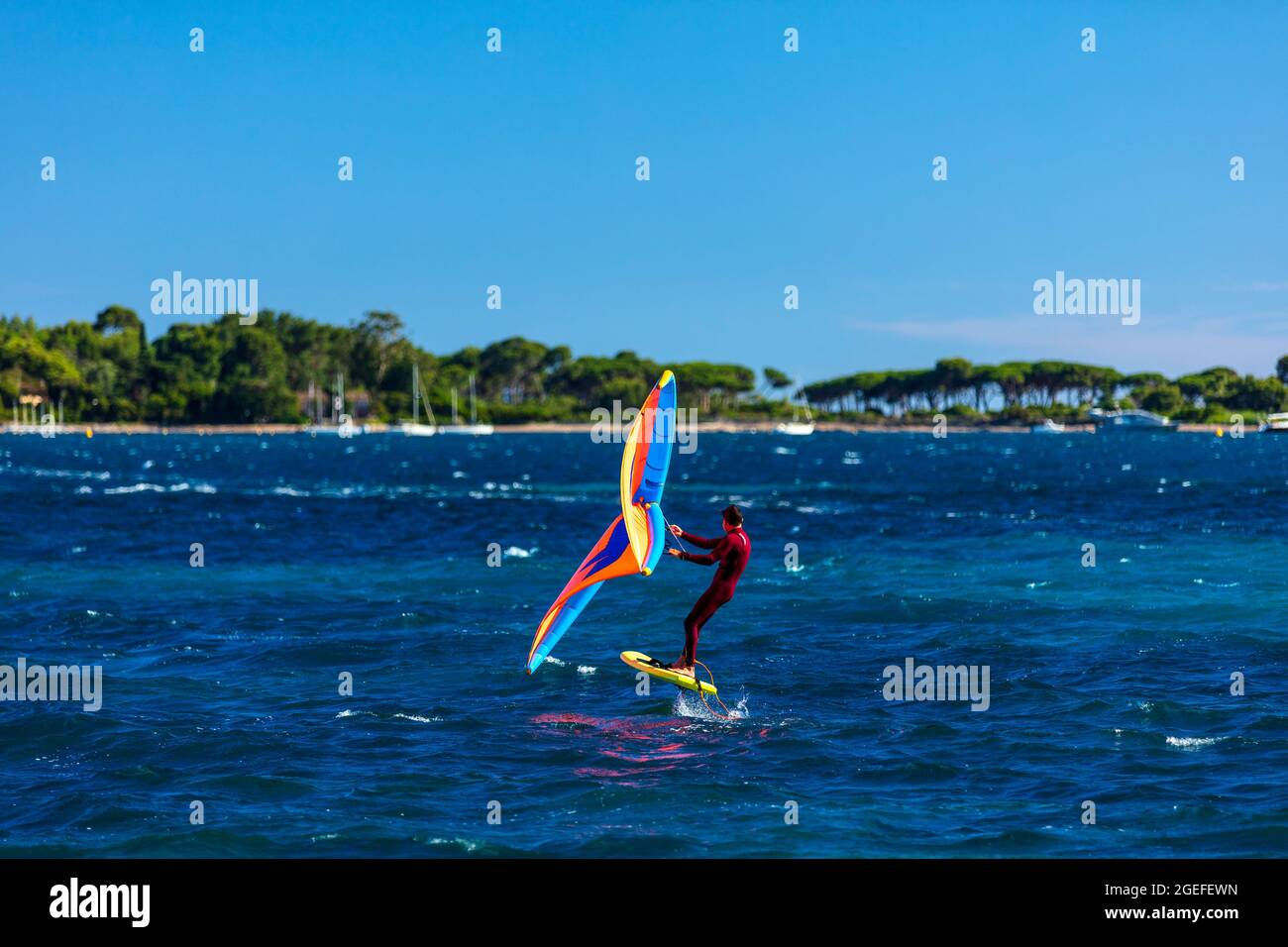 FRANCE, ALPES-MARITIMES (06) CANNES PALM BEACH Stock Photo - Alamy