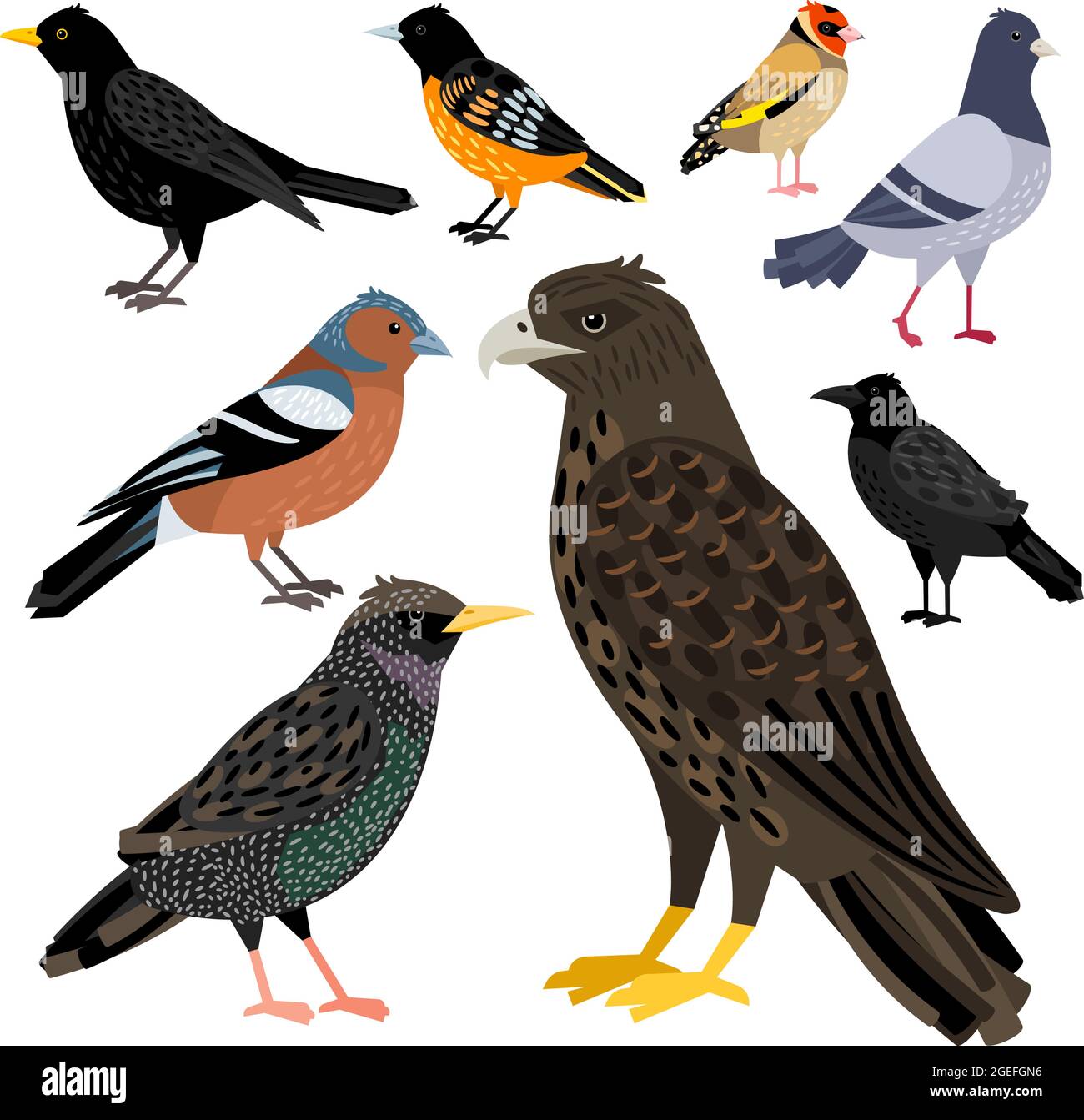 Wonderful collection Cut Out Stock Images & Pictures - Alamy