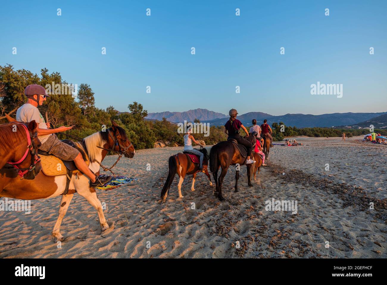 FRANCE, HAUTE CORSE (2B) REGION BALAGNE, AREGNO, HORSES ON THE BEACH ...