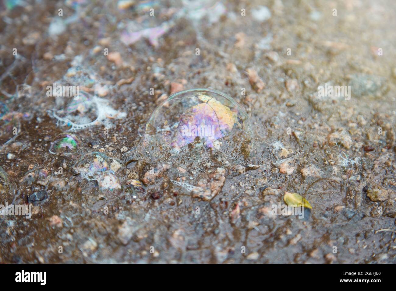 Abstract grey bubbles background. Big bubble reflection. Chemical ...