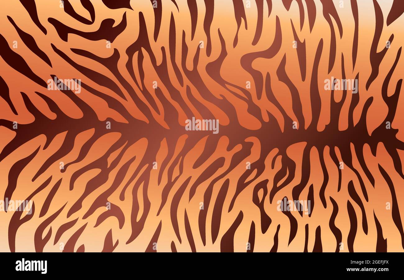 Stripes on the skin of a tiger, a pattern of stripes on the skin of a ...