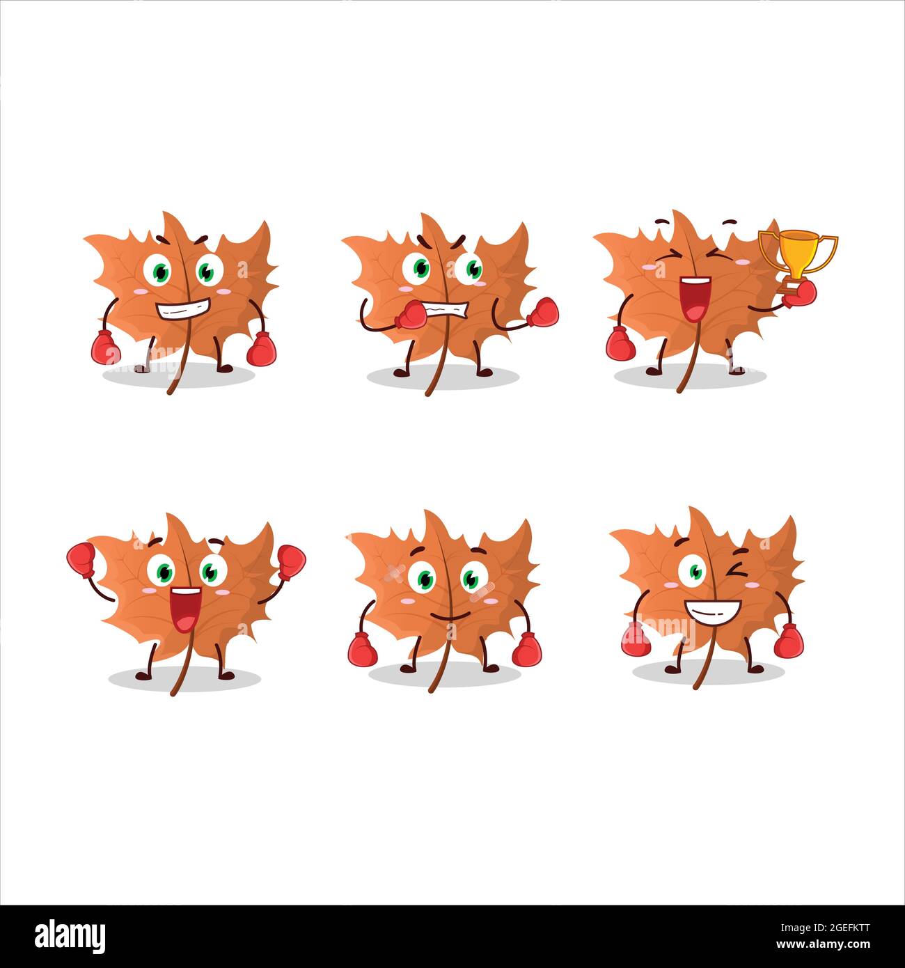 A sporty maple Leaf boxing athlete cartoon mascot design. Vector ...
