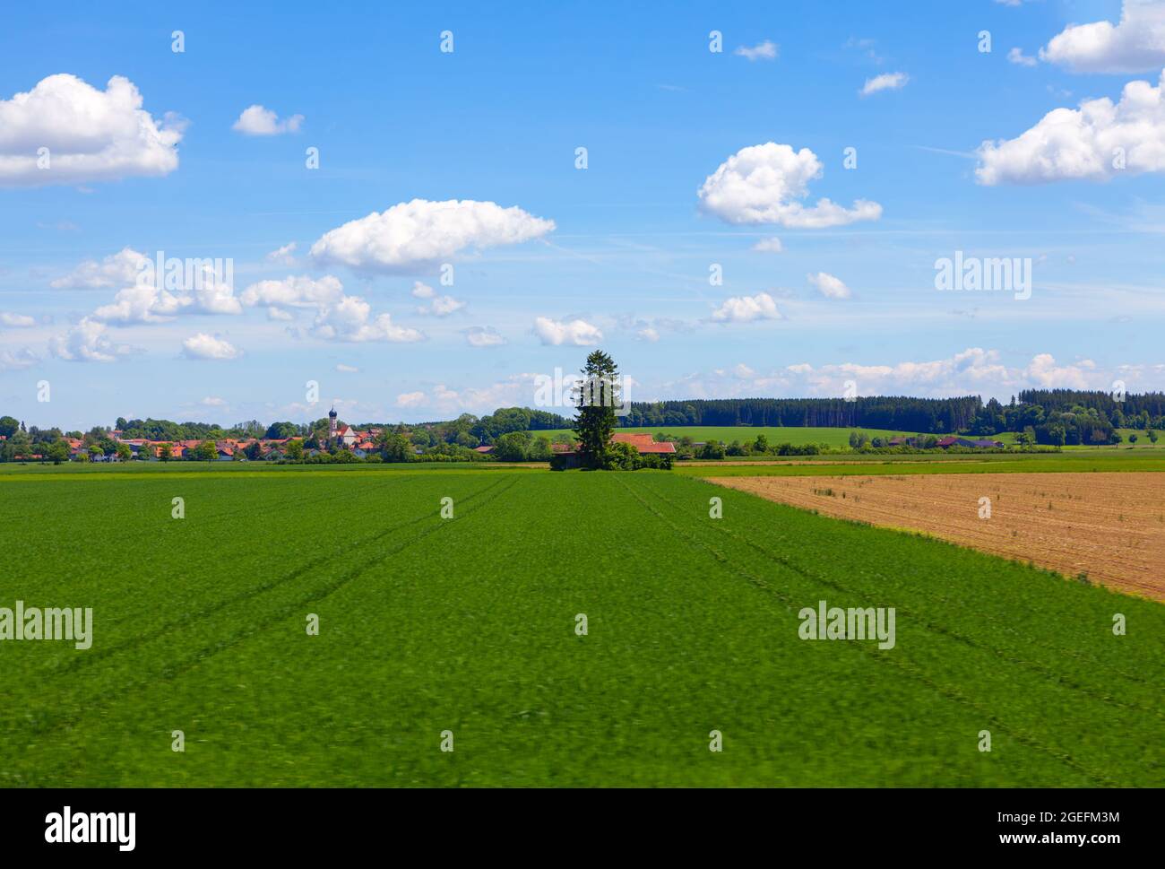 German village and green agricultural field . Spring season rustic ...