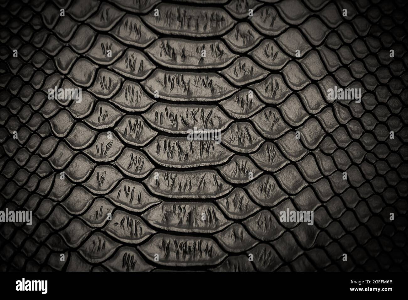 black snakeskin pattern texture background Stock Photo - Alamy