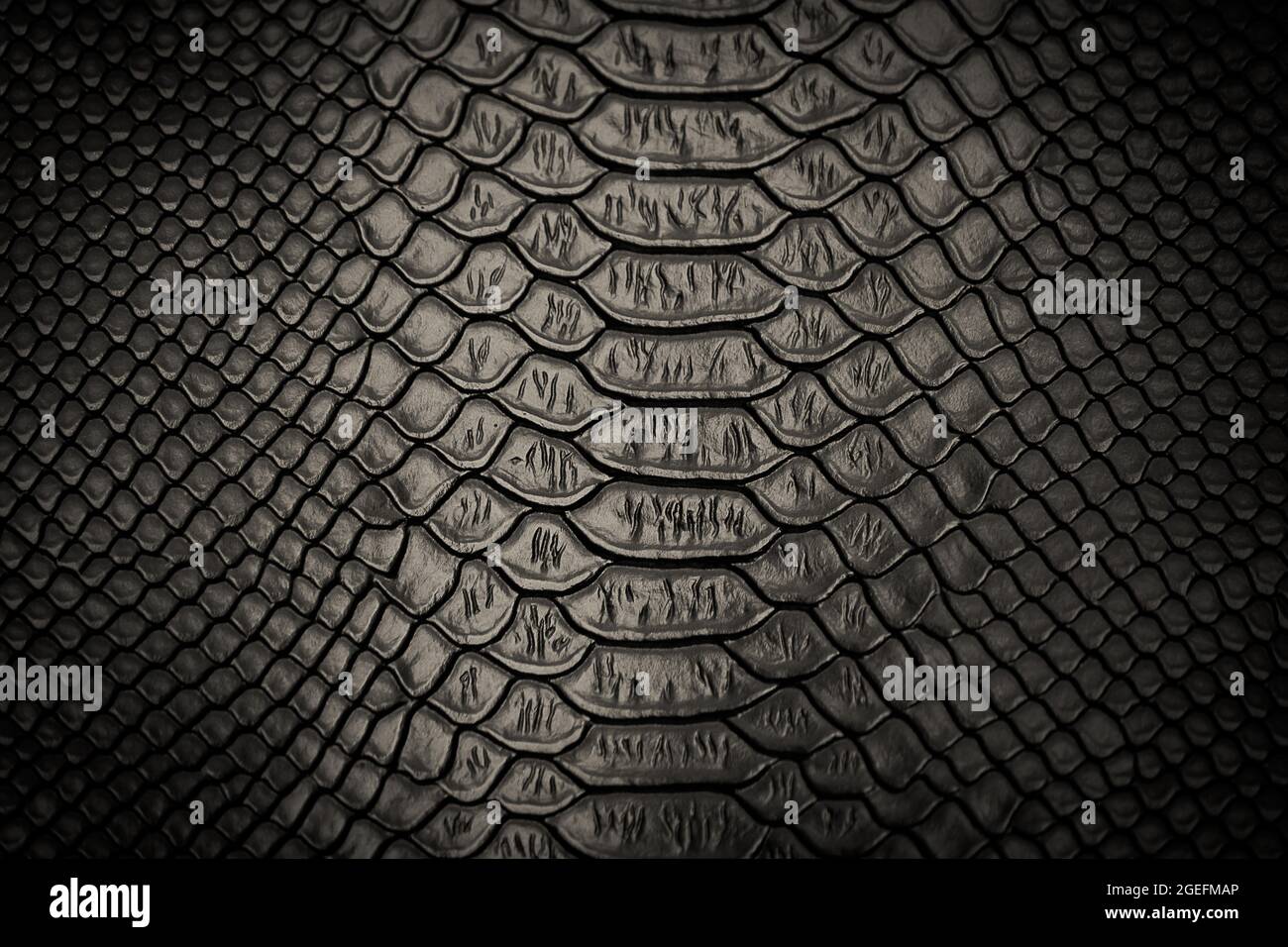 Snake human dark skin hi-res stock photography and images - Alamy