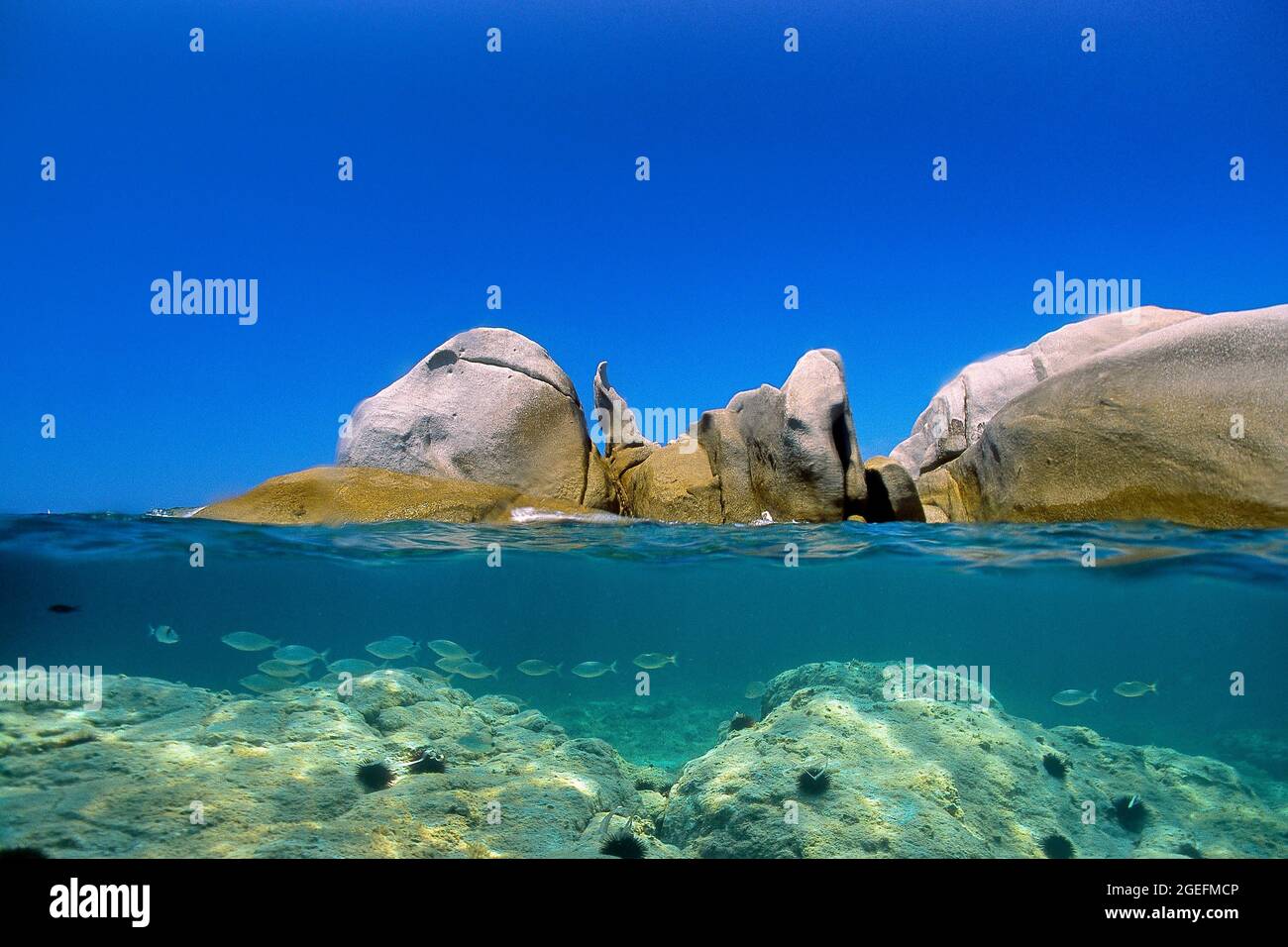 FRANCE. NORTHERN-CORSICA (2B) BALAGNE REGION. THE POINTE DE SPANO Stock ...