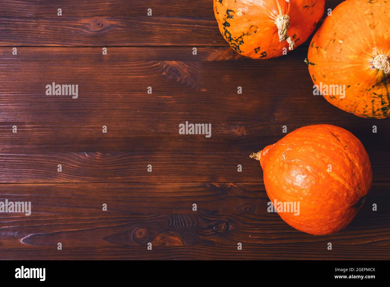 Top view of Hokkaido pumpkins on dark brown wooden table with copy ...