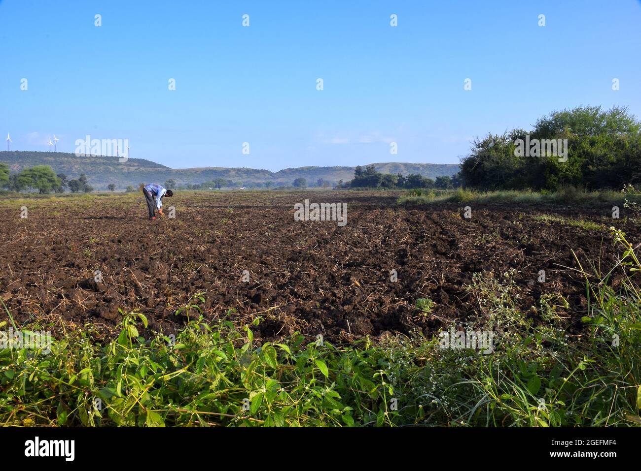 indian farmer cleaning the field before sowing. trees, mountain and sky ...