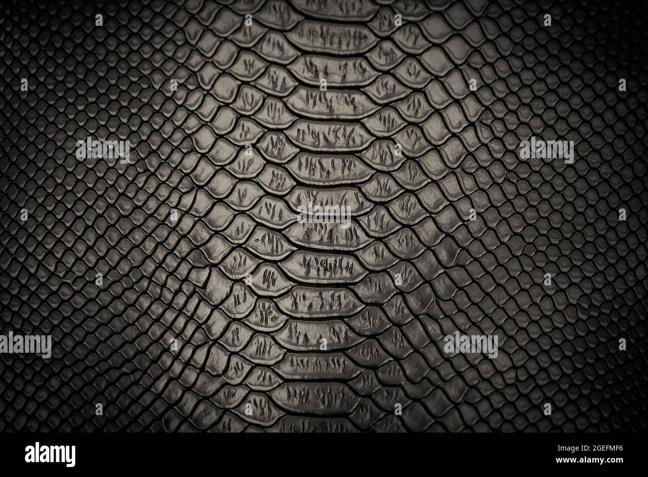 Black Snake Skin Background