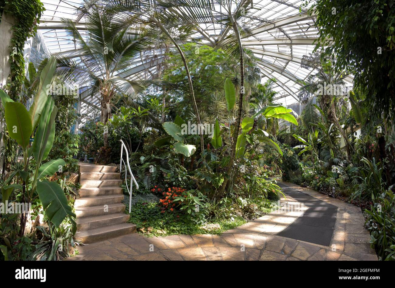 FRANCE. ALPES-MARITIMES (06) NICE. PARK PHOENIX Stock Photo - Alamy
