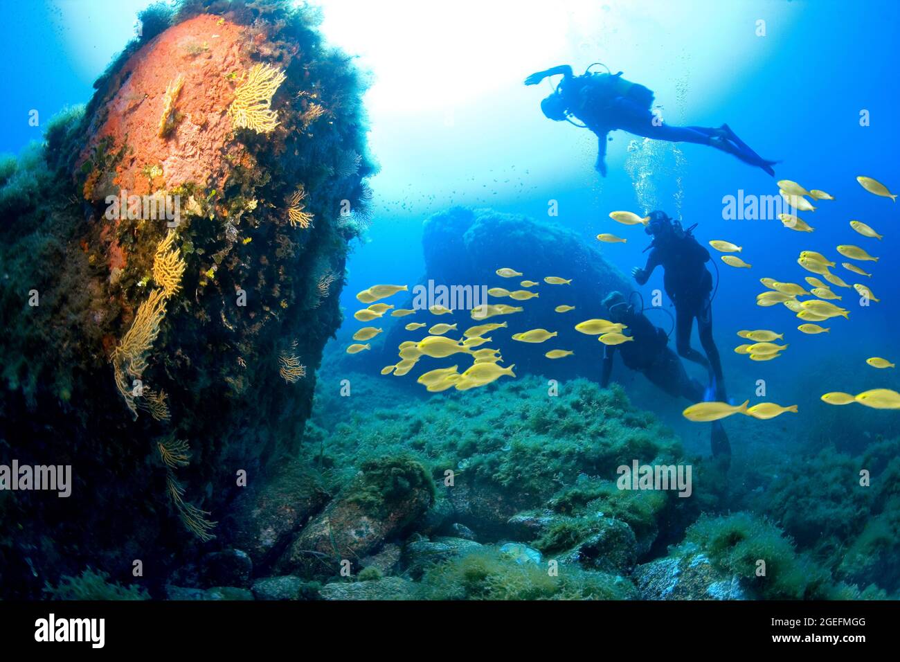 FRANCE. NORTHERN-CORSICA (2B) BALAGNE REGION. DIVING AT THE POINTE DE ...