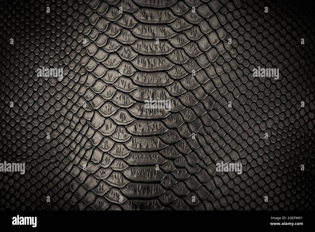 black snakeskin pattern texture background Stock Photo - Alamy