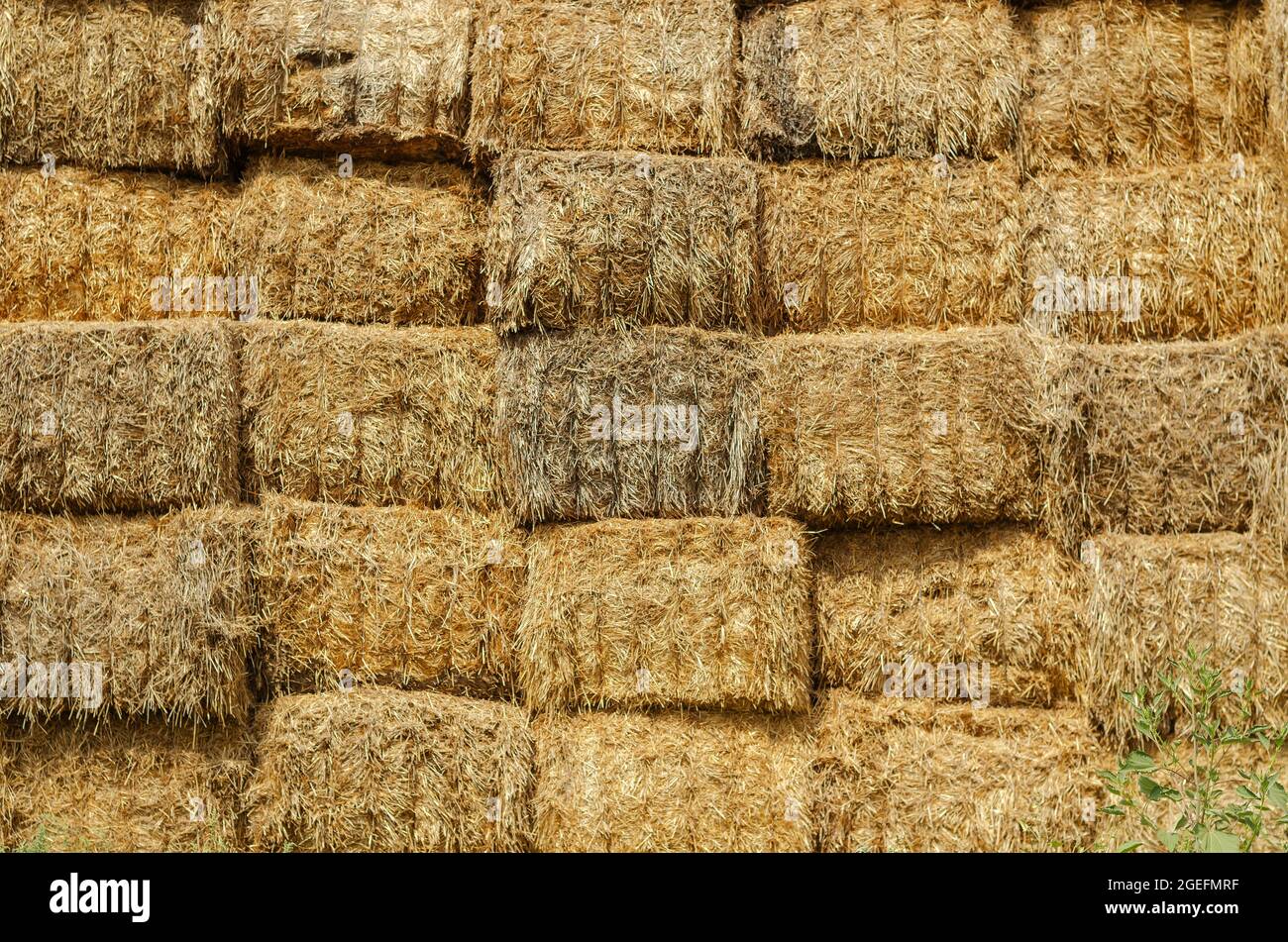 Hayloft texture hi-res stock photography and images - Alamy