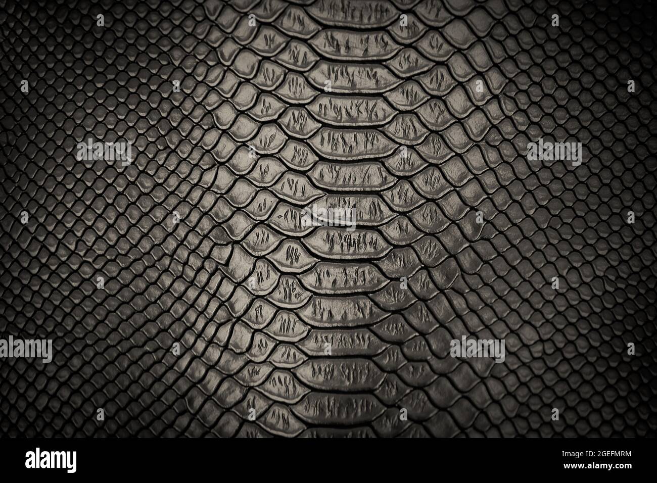 Snake human dark skin hi-res stock photography and images - Alamy