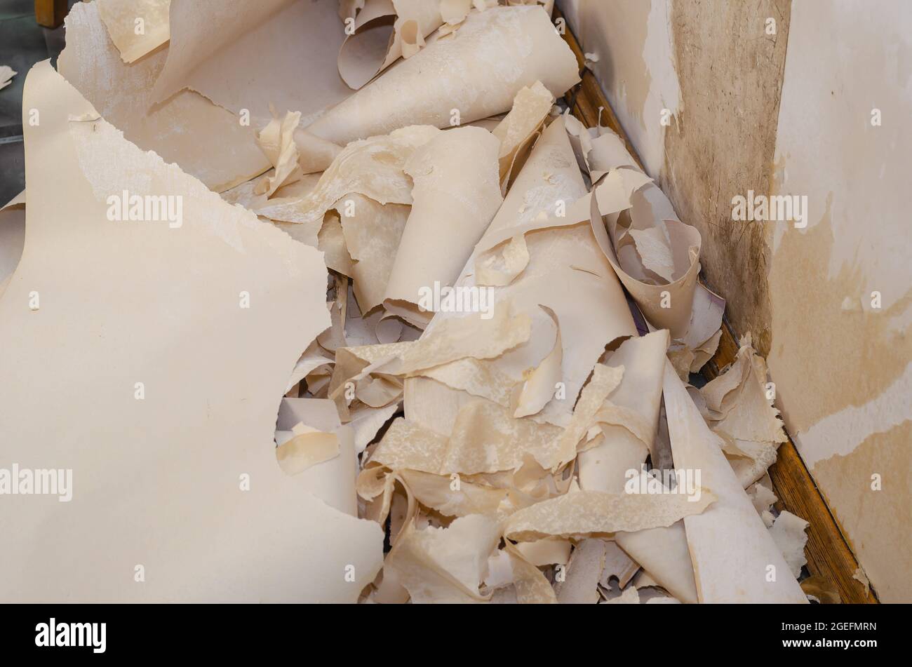 Torn pieces of paper wallpaper. Random pieces of wallpaper removed from ...
