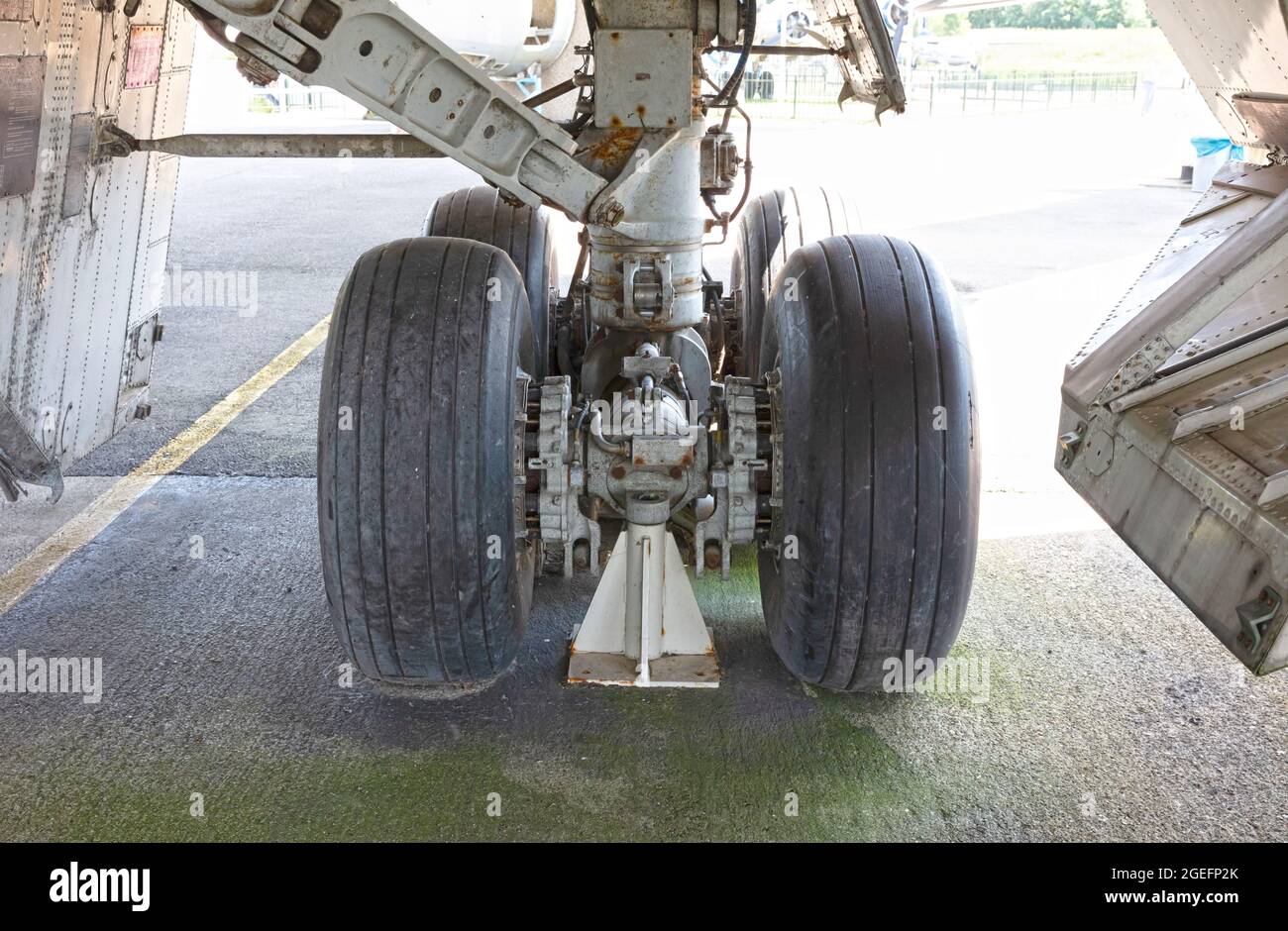 Under cart hi-res stock photography and images - Alamy