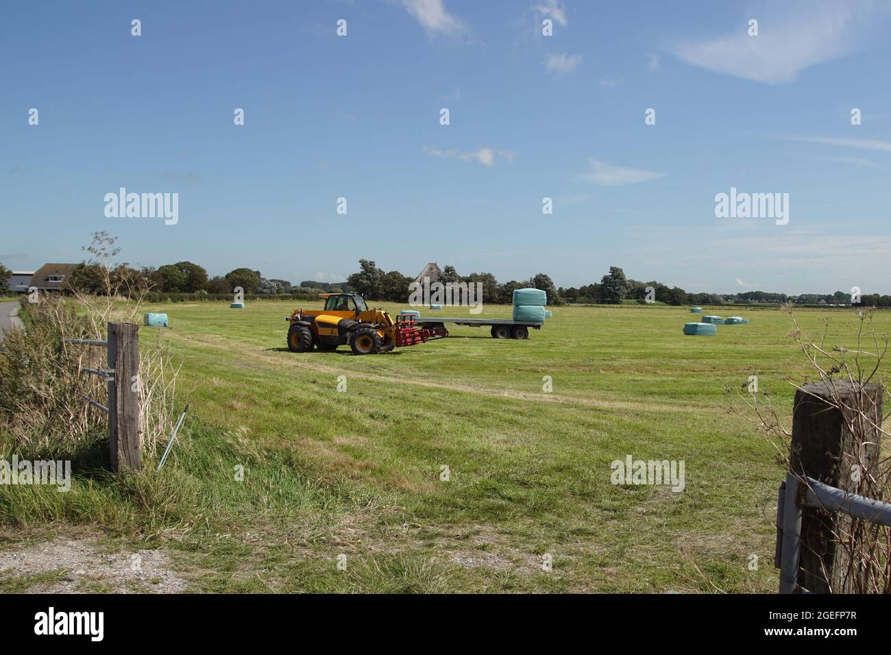 Dutch telescopic handler with bale clamp and behind it a flat trailer ...