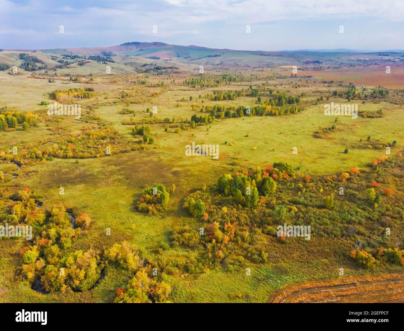 Aerial view of the autumn landscape with hills and bright yellow colors ...