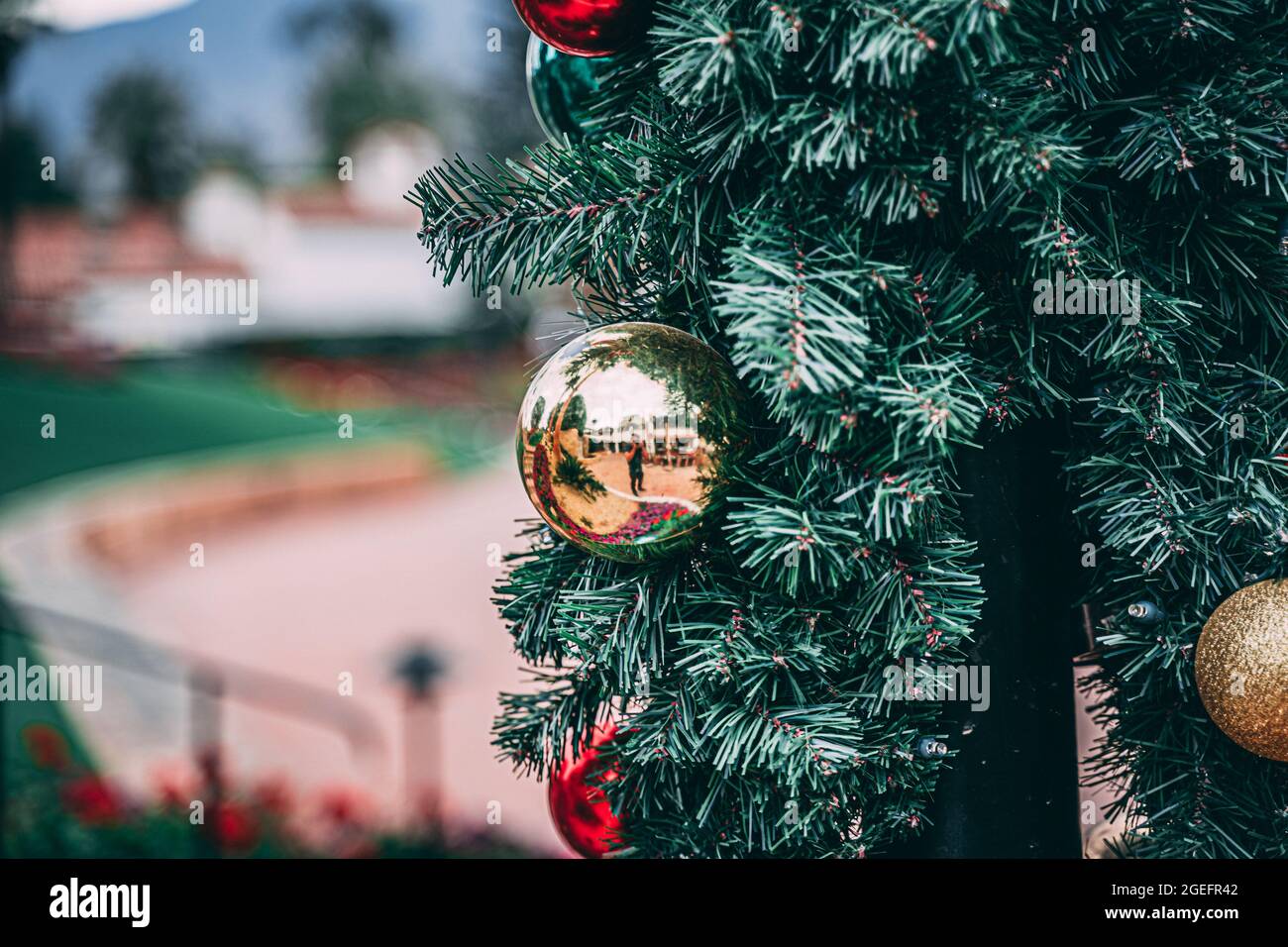 Christmas ball on a Christmas tree Stock Photo - Alamy