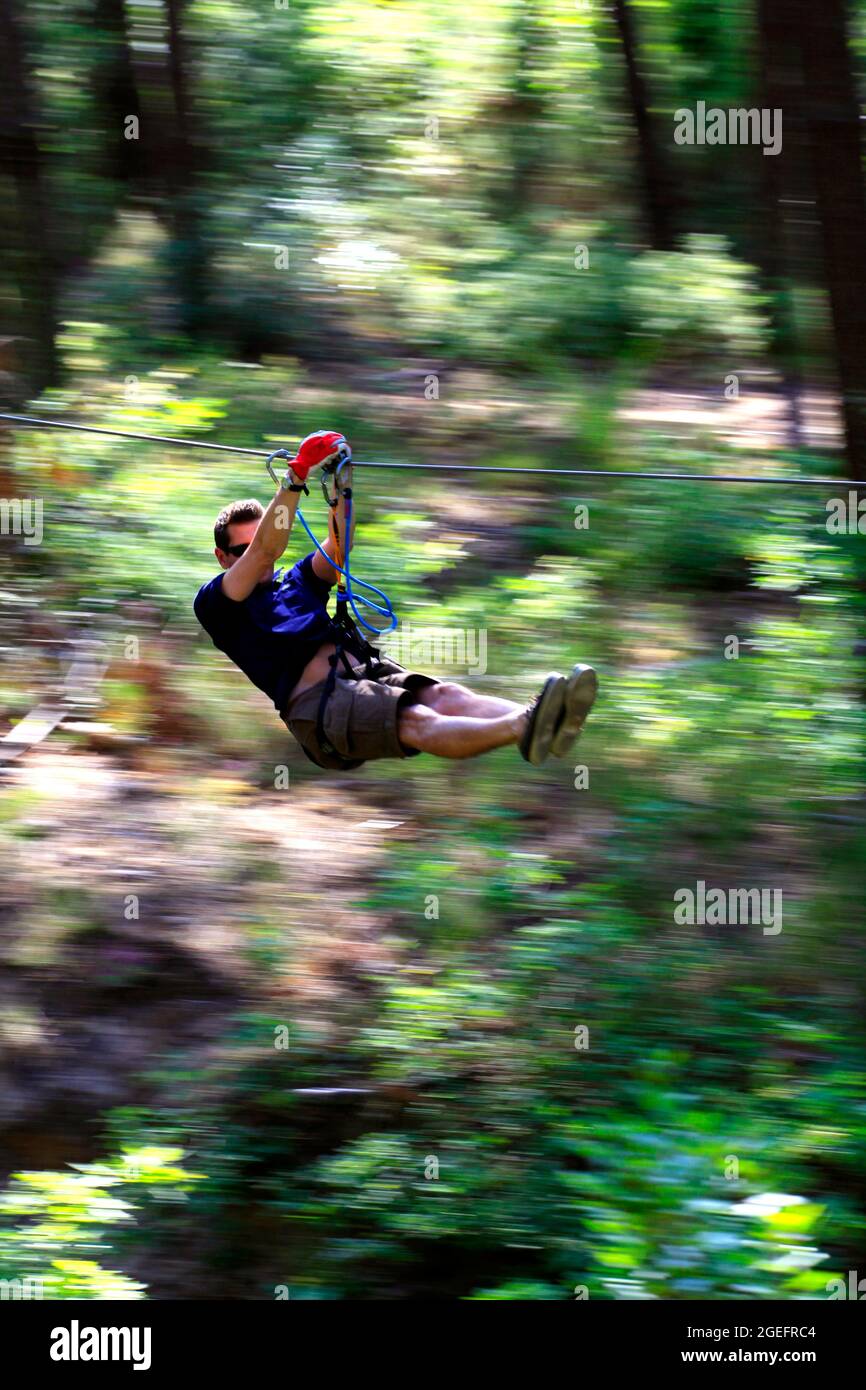 Treetop adventure course in Mimizan (south western France). Rope bridge ...