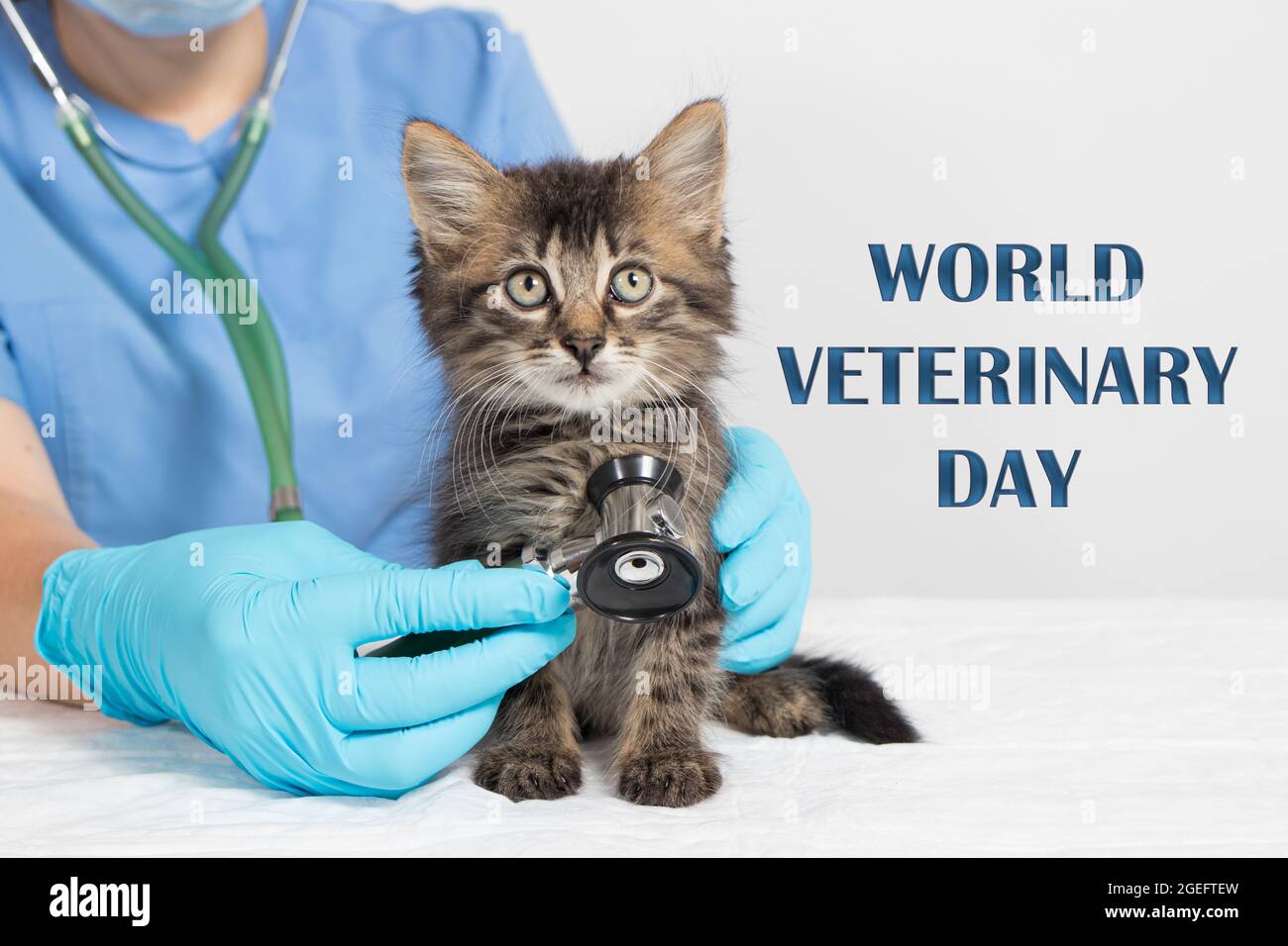 World Veterinary Day card with the inscription. The veterinarian ...
