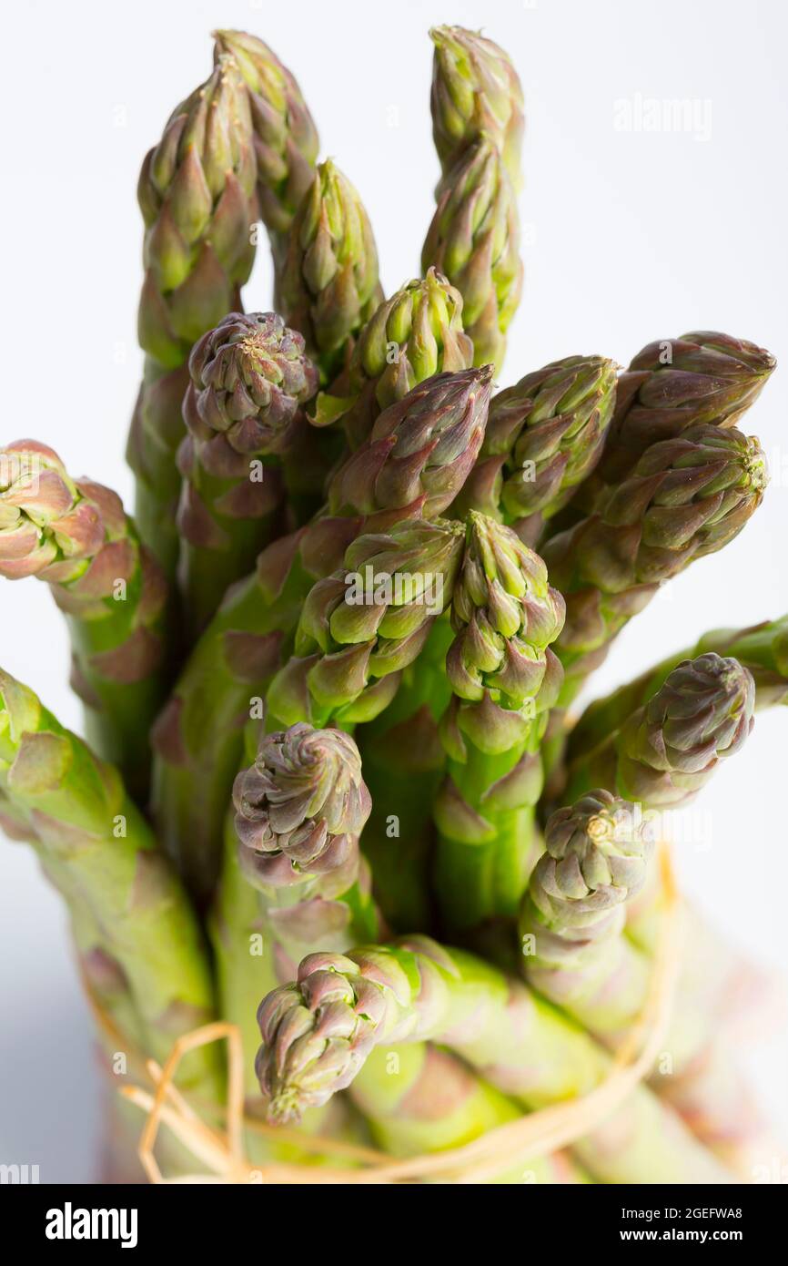 Food photo asparagus plant hi-res stock photography and images - Alamy