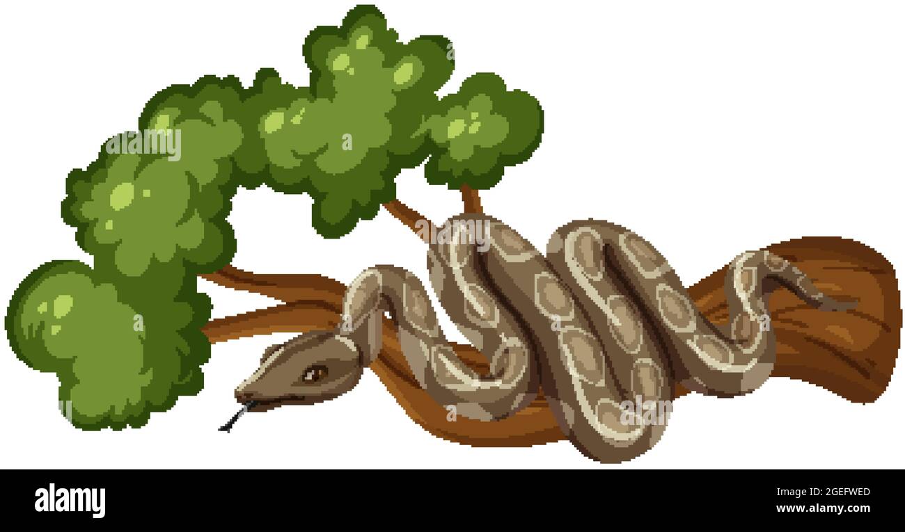 Snake on a branch isolated on white background illustration Stock ...