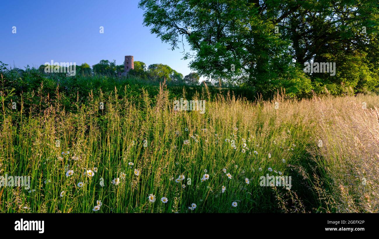 Racton ruins monument hi-res stock photography and images - Alamy
