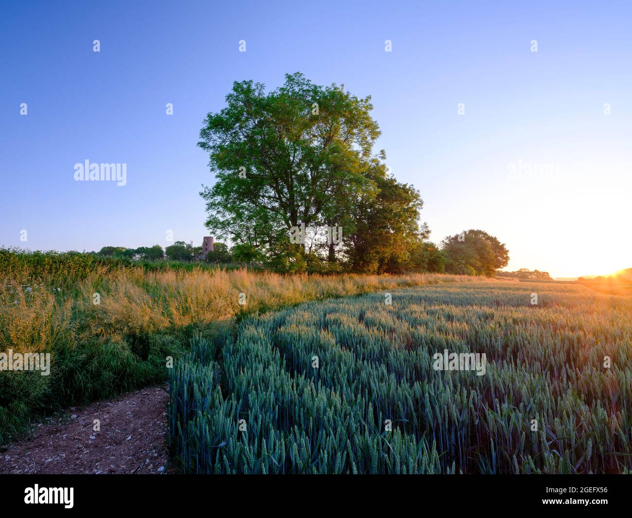 Racton ruins monument hi-res stock photography and images - Alamy