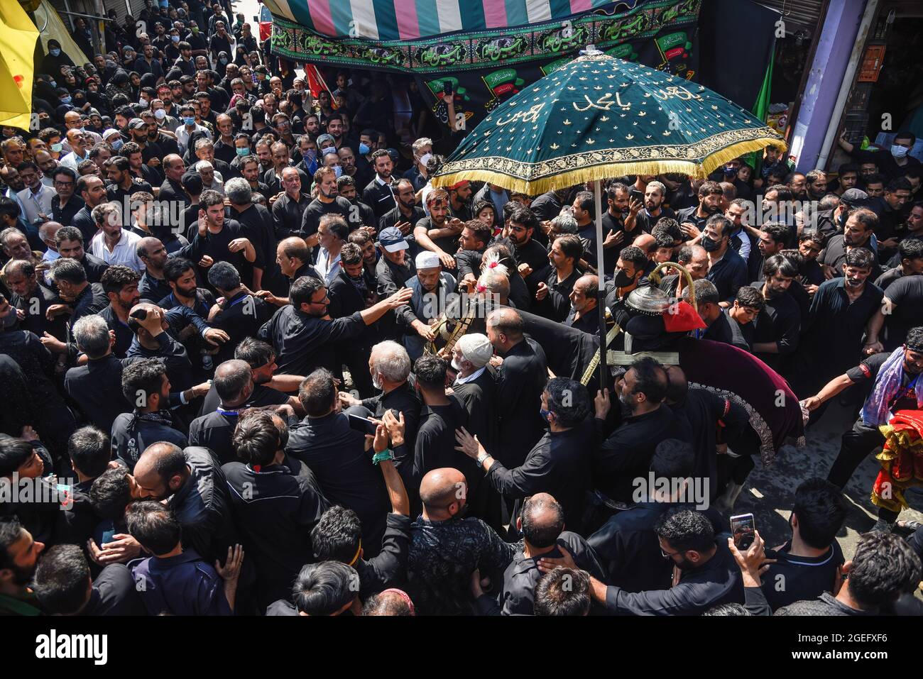Kashmiri Shia Muslims are seen touching a horse (zuljanah) which ...