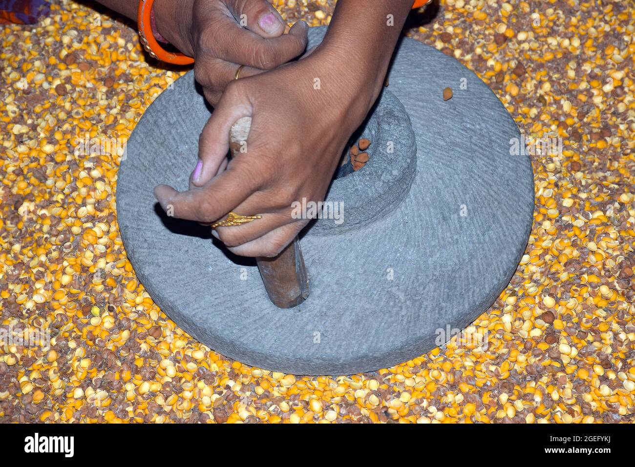 A village woman's hand, grinds gram in an old hand operated flour mill ...