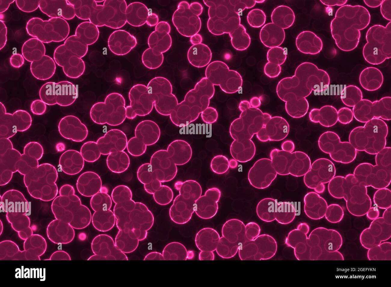 artistic beautiful many biological cells computer graphics backdrop ...