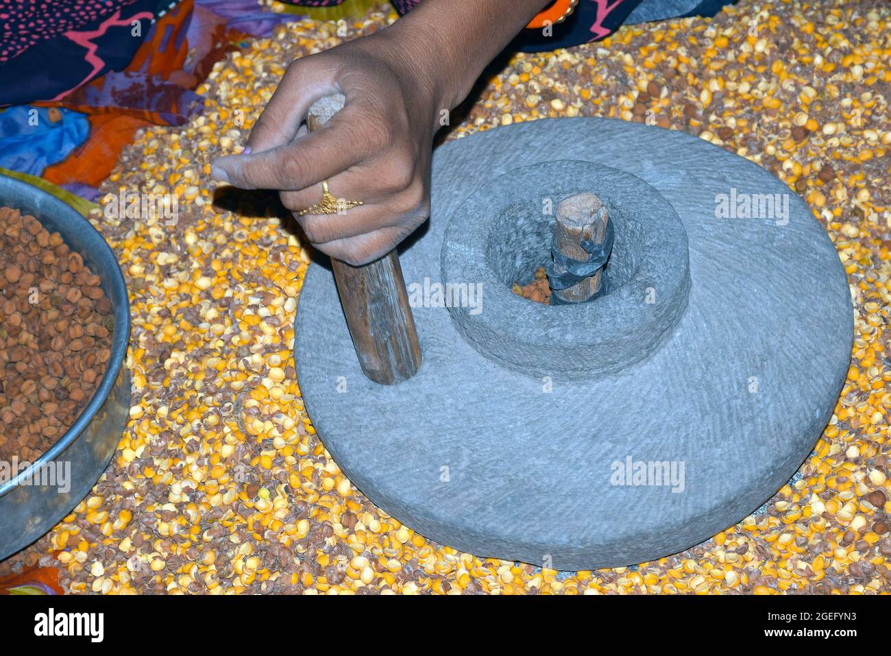 A village woman's hand, grinds gram in an old hand operated flour mill ...
