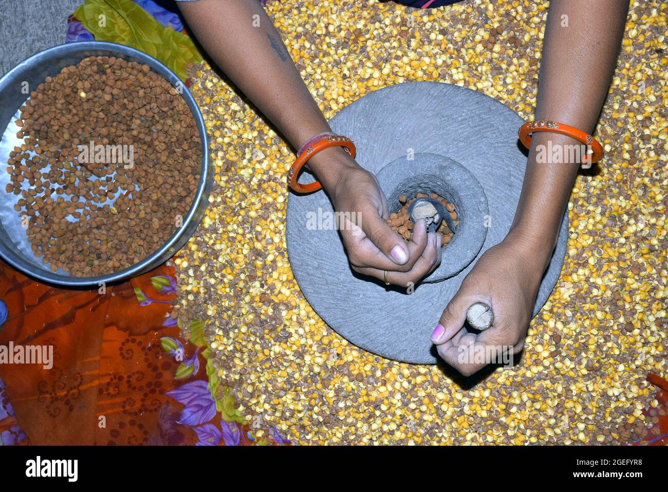 A village woman's hand, grinds gram in an old hand operated flour mill ...