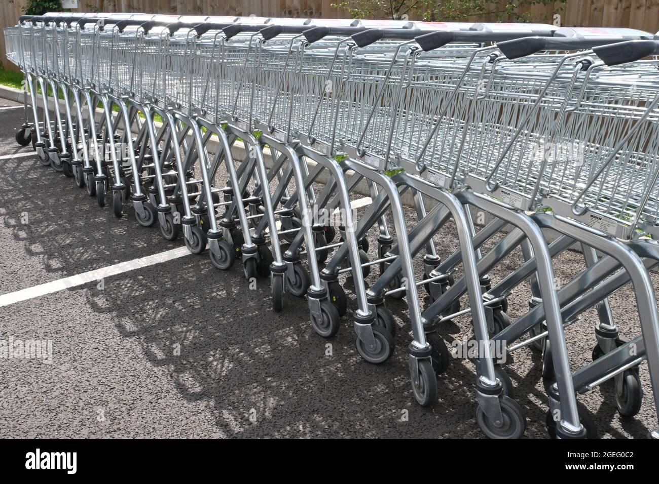 Shopping Trolleys lined up for collection Stock Photo - Alamy