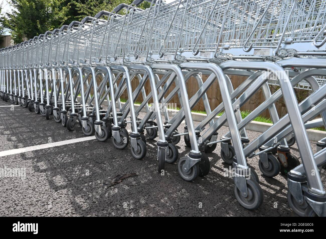 Shopping Trolleys lined up for collection Stock Photo - Alamy