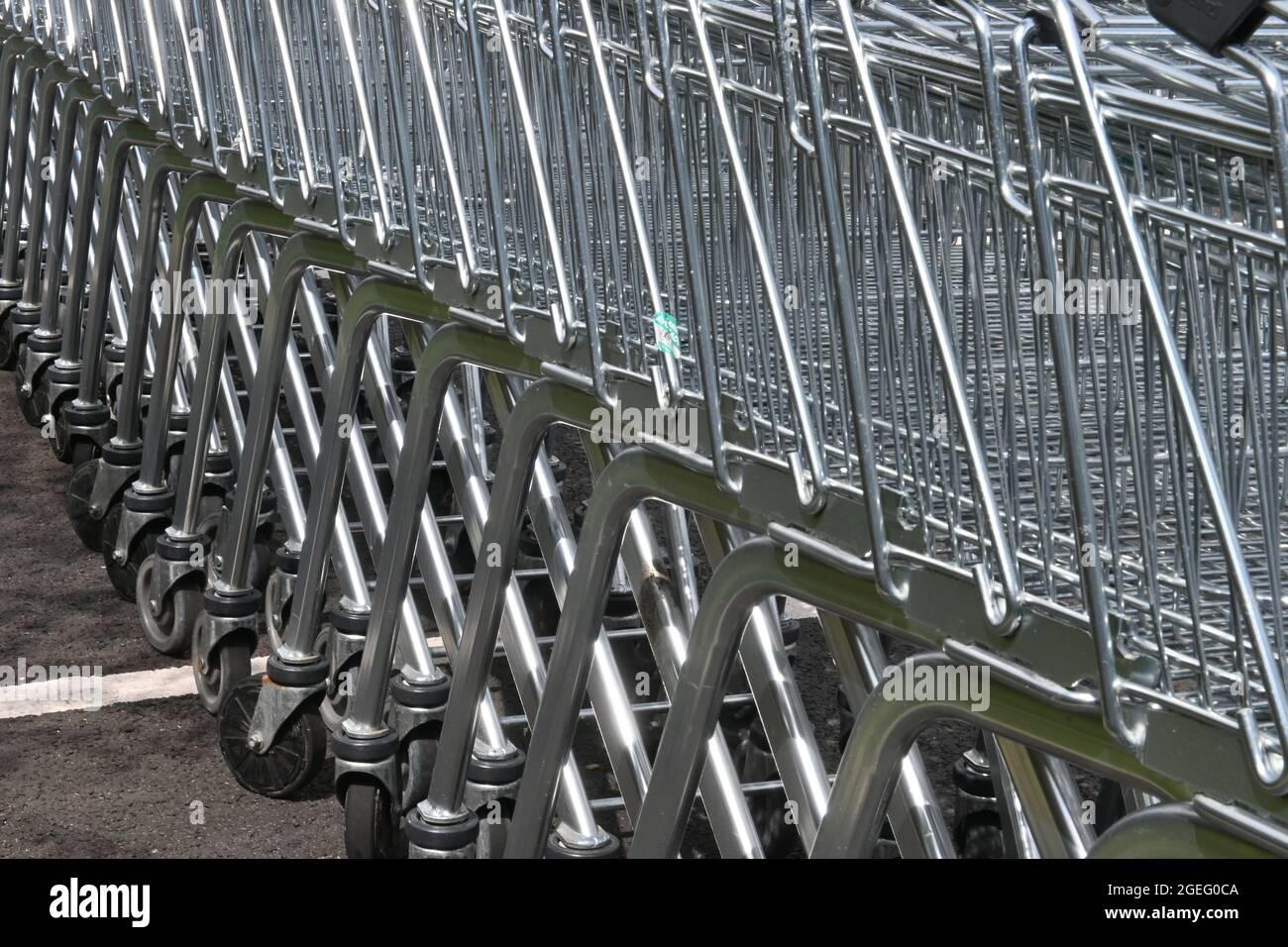 Shopping Trolleys lined up for collection Stock Photo - Alamy